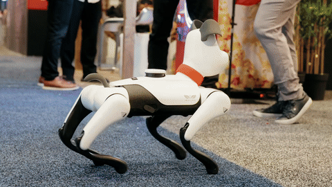 CES 2025 Ins and Outs — Cheerful Twentyfirst